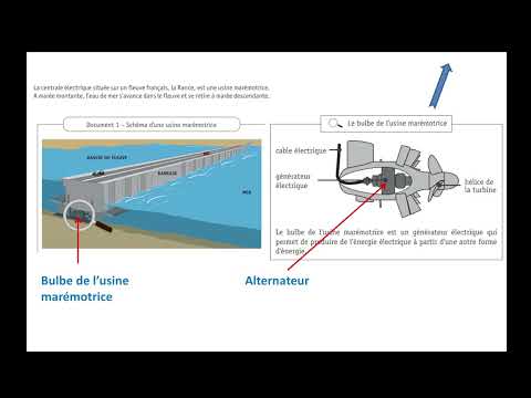 CE1D Sciences 2022 - question 5