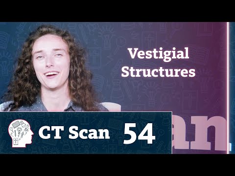 Vestigial Structures (Episode 54)
