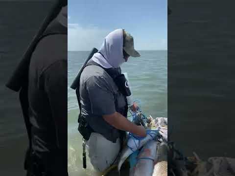 Slaughter in the Water Port Mansfield, tx