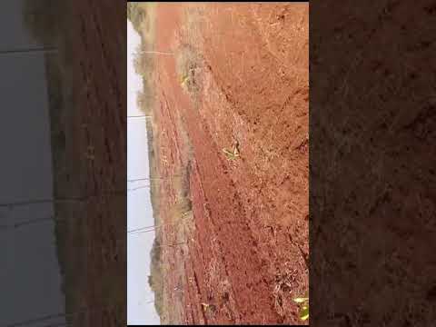 Land for sale in Hiriyur town near 12km 3.17acre Addaka plants 1acre sheed 35laks per acre9739628504