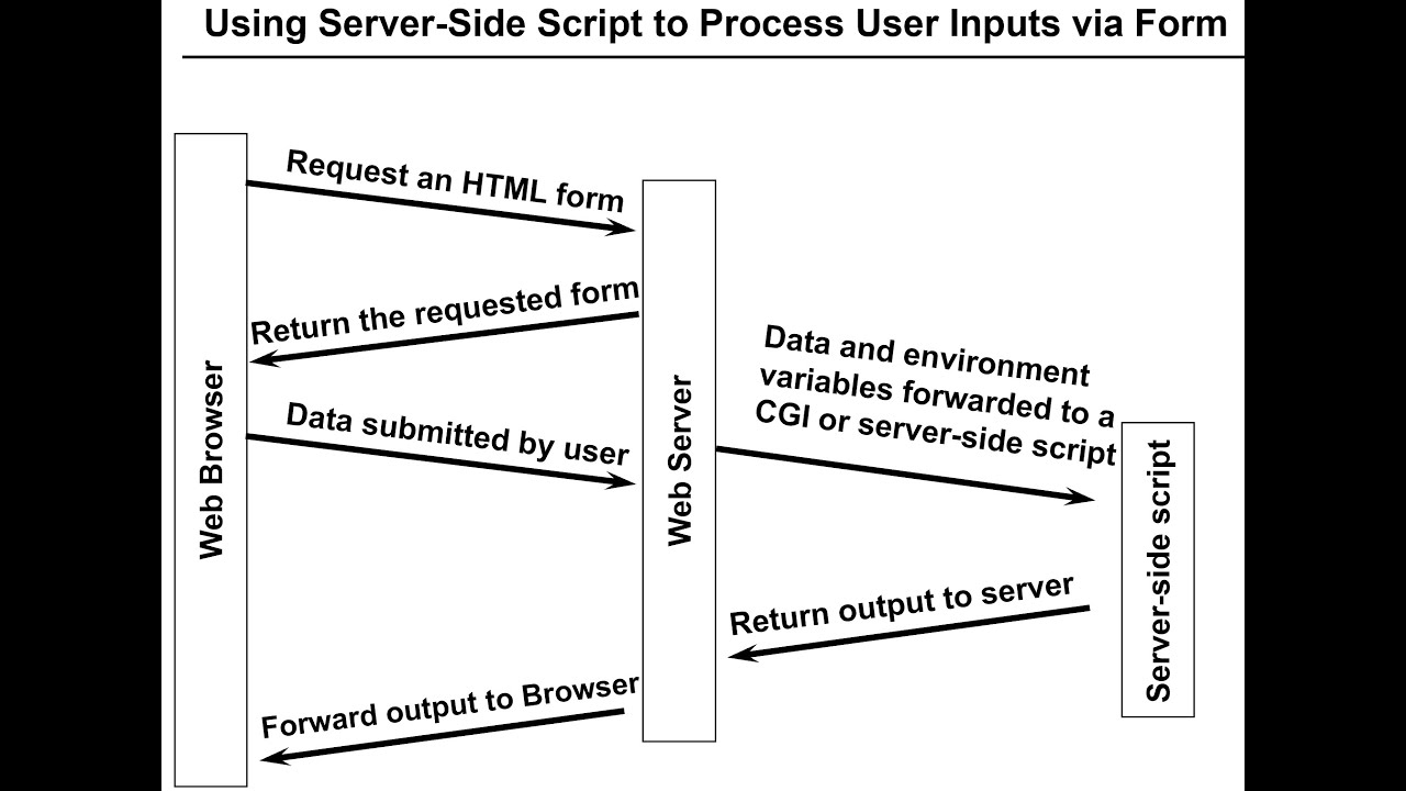 Server-Side Programming to Process Form Data