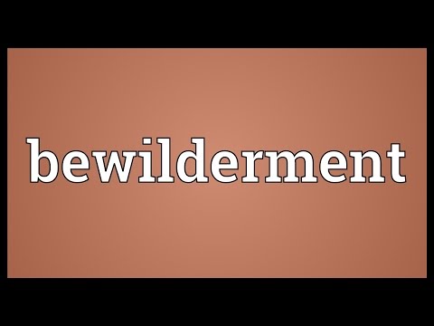 Bewilderment Meaning