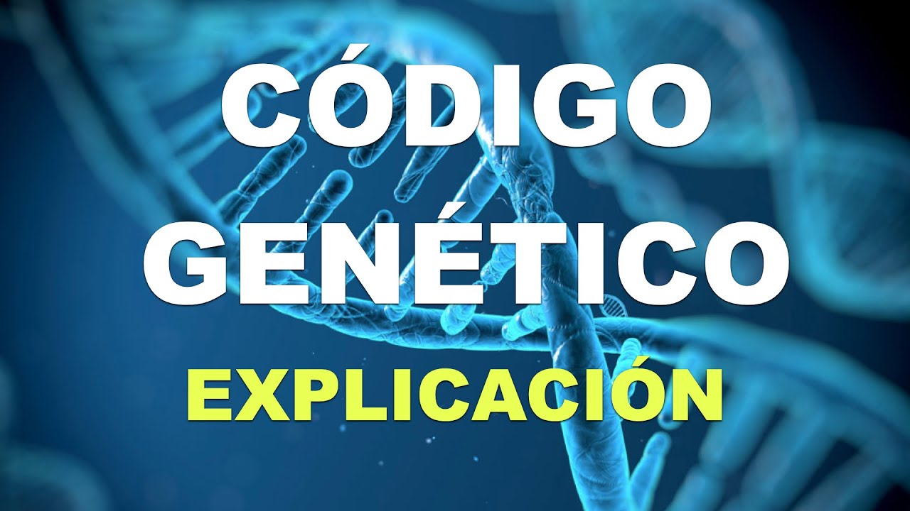 ¿Qué es el CÓDIGO GENÉTICO?