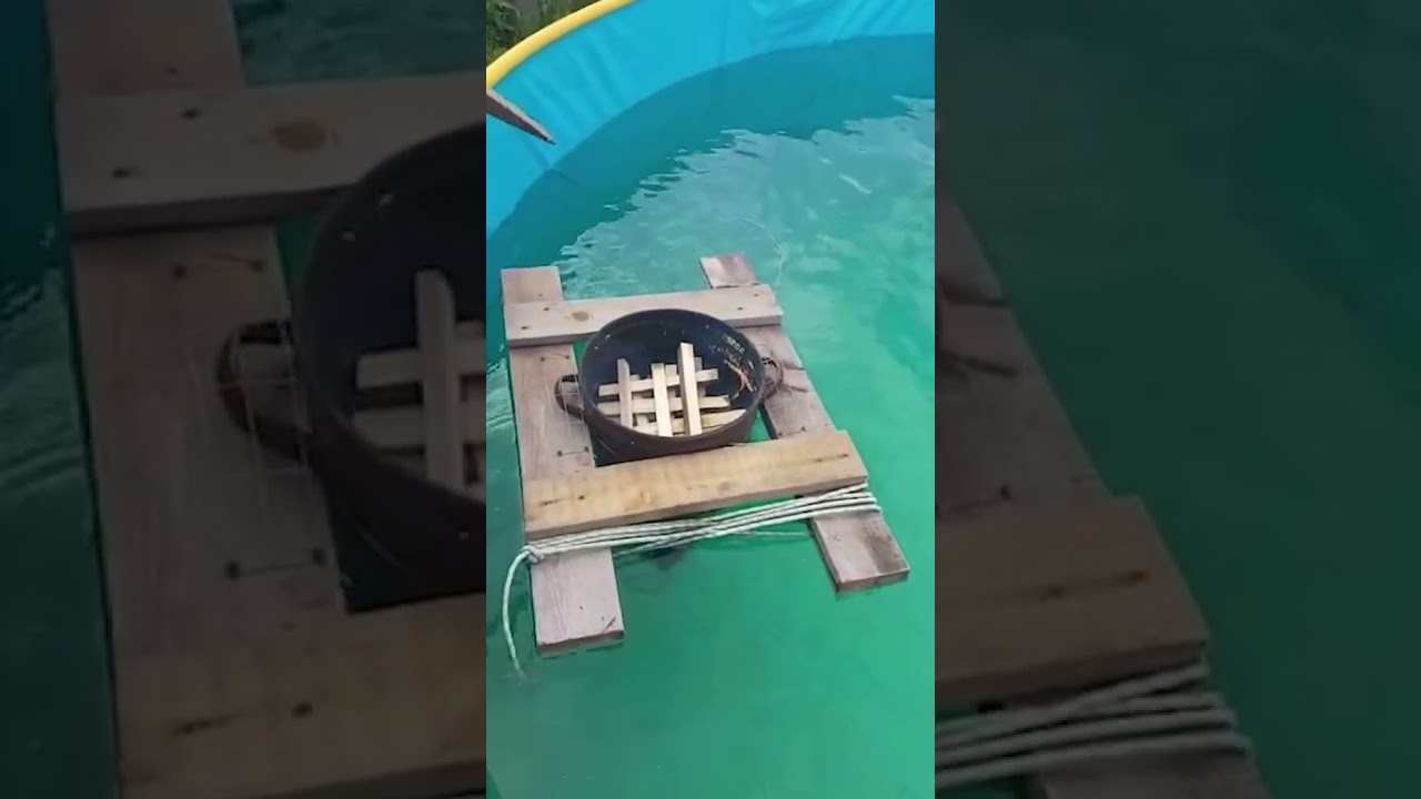 This pool is heating from a live fire!