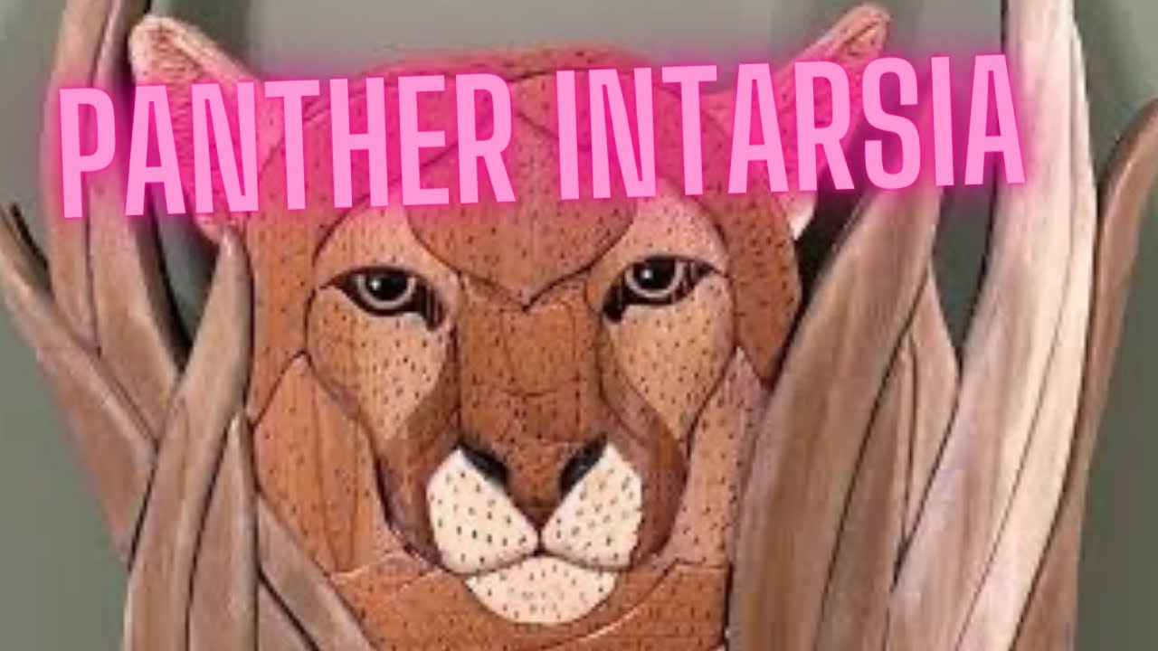 Panther Intarsia