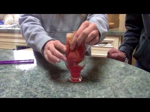 Spooling Strawberry DNA at Home! – Izzy's Biology Portfolio