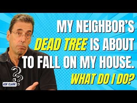 My Neighbor’s Dead Tree Is About To Fall on My House. What Do I Do?