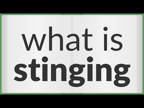 Stinging | meaning of Stinging