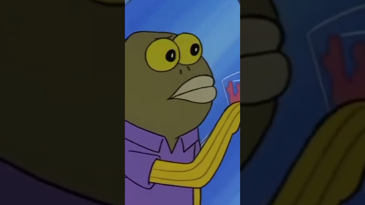YOU WHAT??!! #spongebob #funny