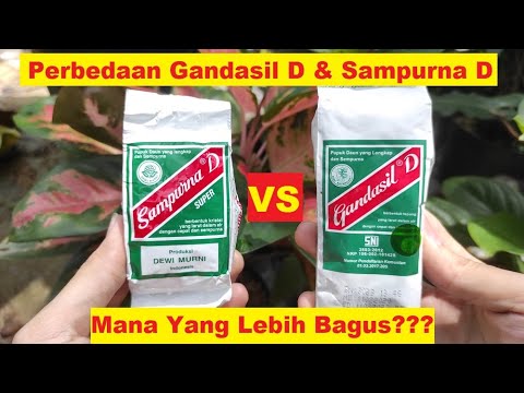 Perbandingan Pupuk Gandasil D Dan Sampurna D | Pupuk NPK Untuk Daun Murah | Mana Yang Lebih Bagus??