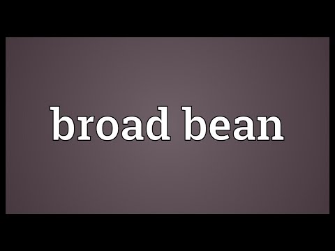 Broad bean Meaning