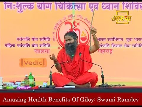 Ayurveda | Vedic Healing