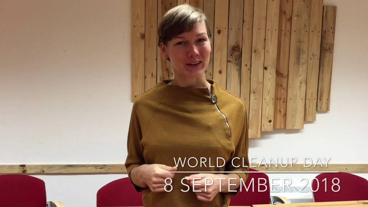 Let's Do It! A clean world movement