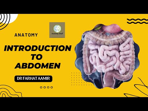 INTRODUCTION TO ABDOMEN