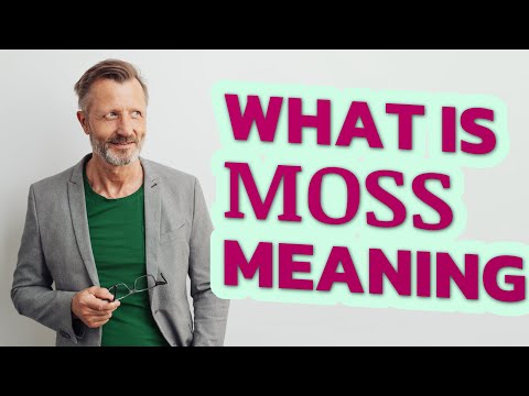 Moss | Meaning of moss