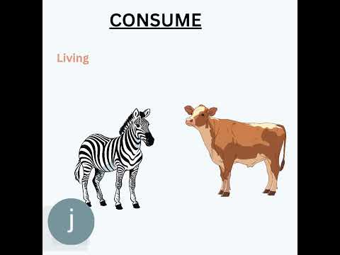Producers,consumers and decomposers. #science#knowvibelearning#queensland