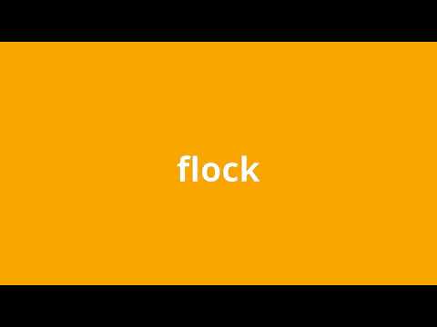 what is the meaning of flock