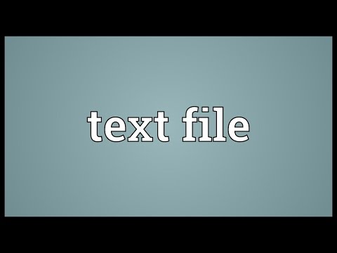 Text file Meaning
