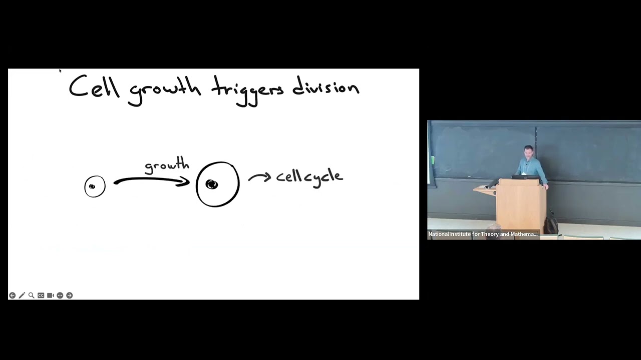 The Modular Organization of Eukaryotic Cell Growth | Jan Skotheim