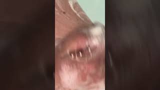 The Fall Beauty Box! ????