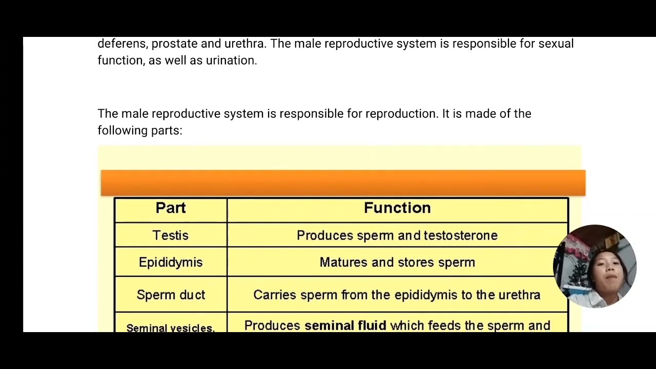 LESSON PLAN IN SCIENCE V