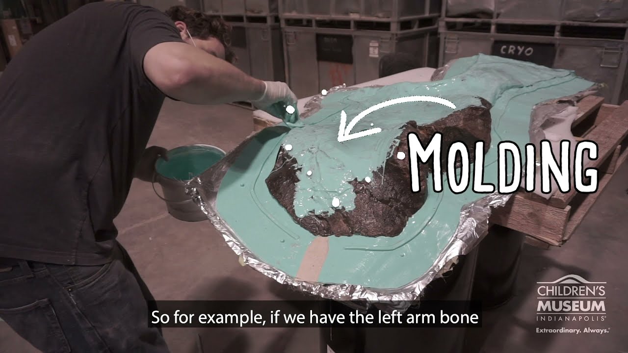 How We Put Dinosaur Skeletons Together | The Making of the New Dinosphere Exhibit