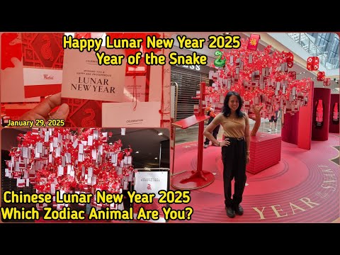 Chinese Lunar New Year 2025 Which Zodiac Animal Are You? Year of the Snake - It's your time to shine