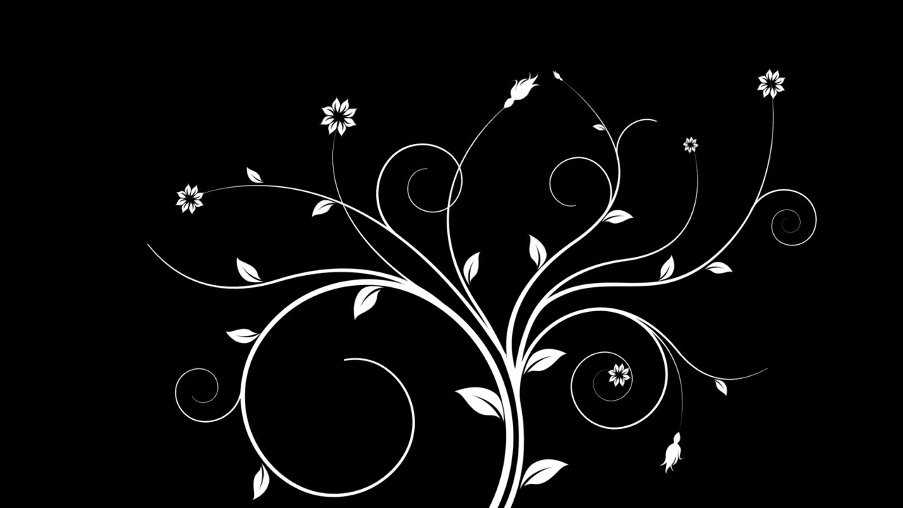 Floral Pattern | Flower Silhouette | #floraldesign #videobackground