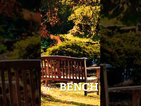 Master English Vocabulary | Bench Description & Pronunciation