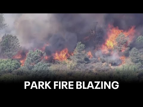 Live: Aerial footage of Park Fire burning in Butte County