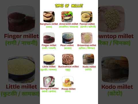 Types Of MILLETS in English and Hindi #millet #momentmagic