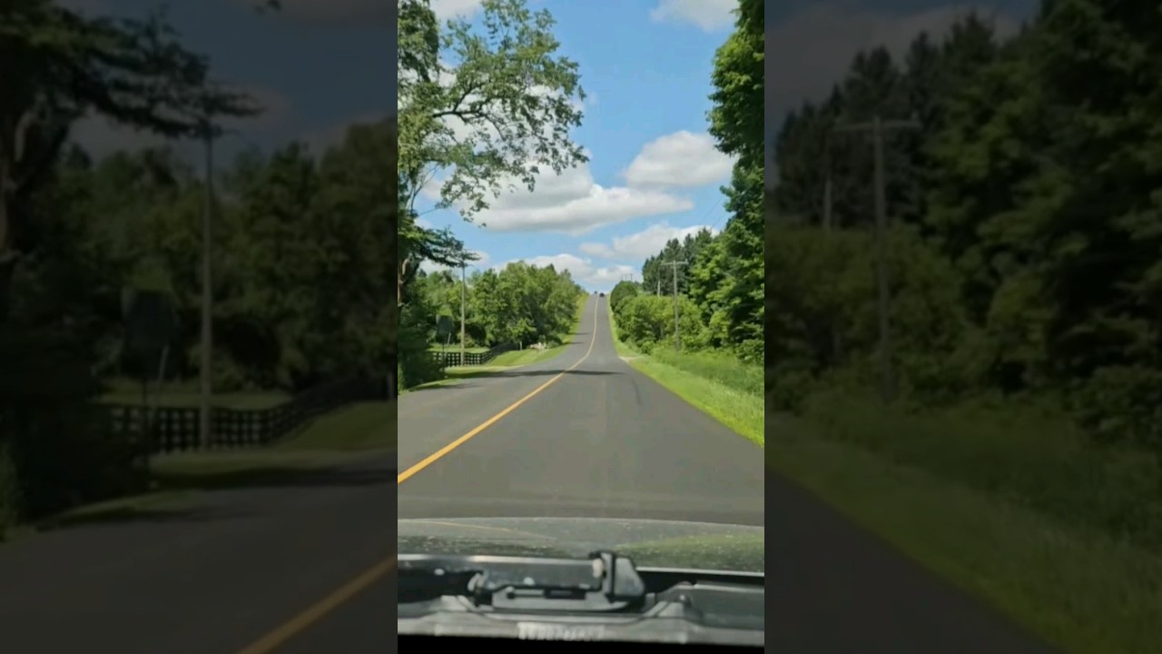 Driving POV 🚗 way to blue mountain 🚗 stabilized version #driving #pov #lifestyle #stabilize #smooth