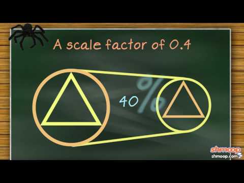 Scale Factor