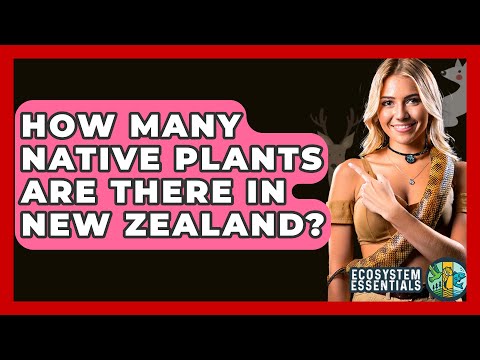 How Many Native Plants Are There In New Zealand? - Ecosystem Essentials