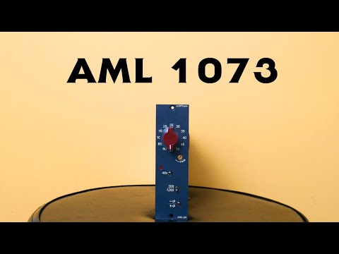 AML 1073 Preamp 2022 | Reverb