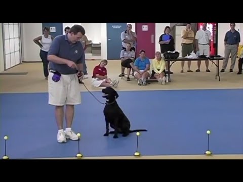 Rich presents the First Ever low pressure technique to the Industry.
