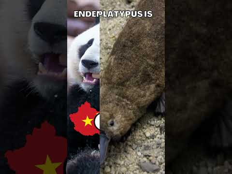 What Are Endemic Animals?