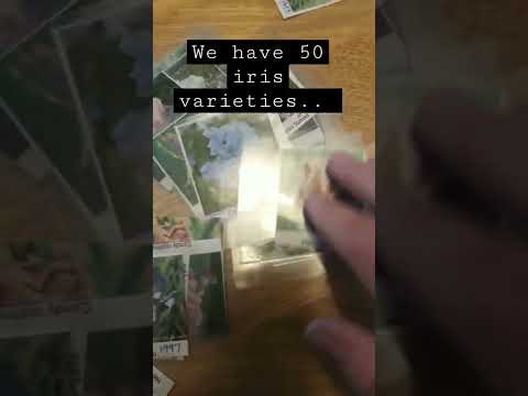 plant labels that last. laminated pics.