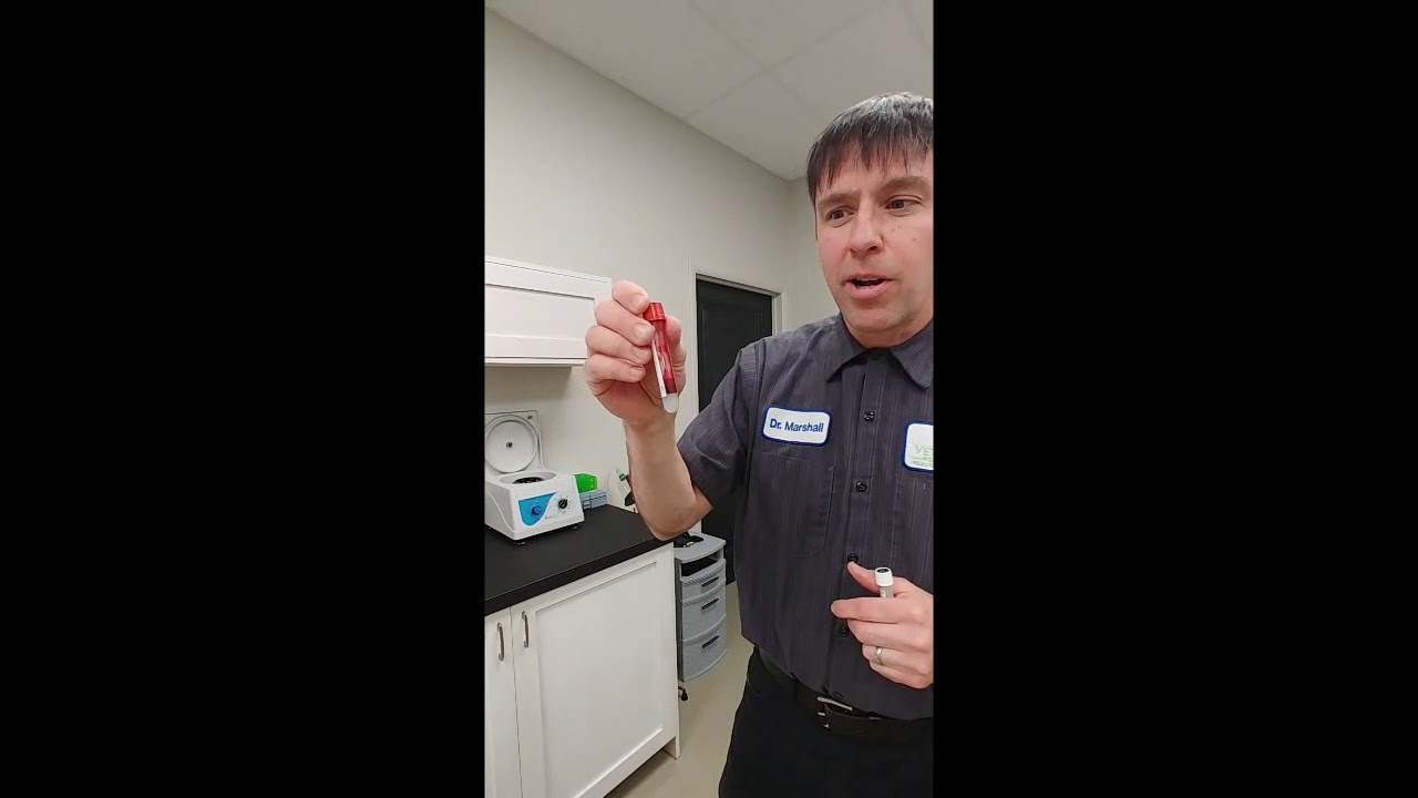 Veterinary Laboratory Sample Processing