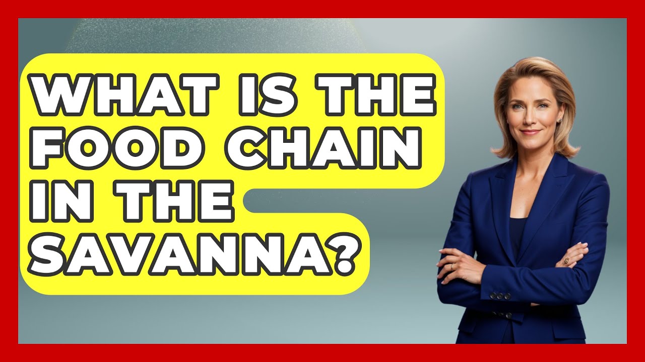 What Is The Food Chain In The Savanna? - African Roots And Routes