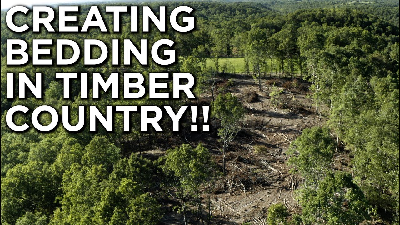 Turning Clear Cuts Into Bedding Areas!! | Wildlife Habitat Management