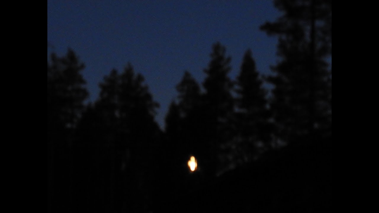 Strange Light Anomaly low in the Woods