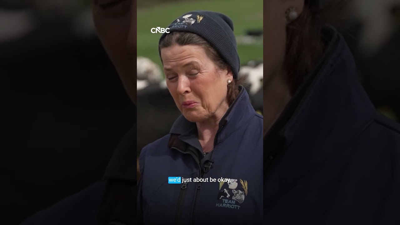 Farmers under pressure as fertilizer prices spike