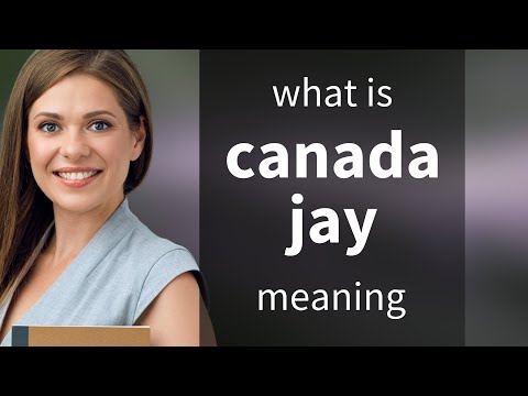Canada jay • meaning of CANADA JAY