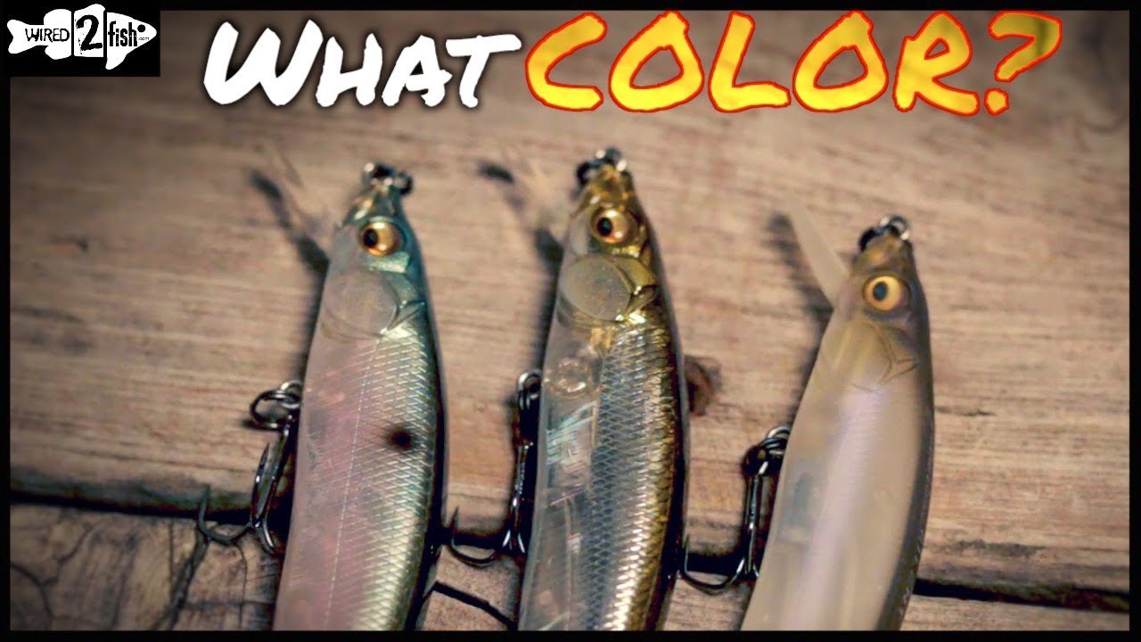 3 Jerkbait Color Selection Guidelines That Produce