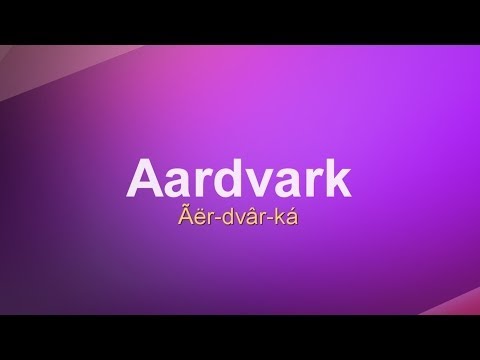 A- Aardvark