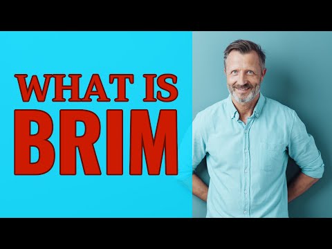 Brim | Definition of brim