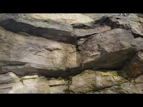 A Day in the Mohonk Preserve