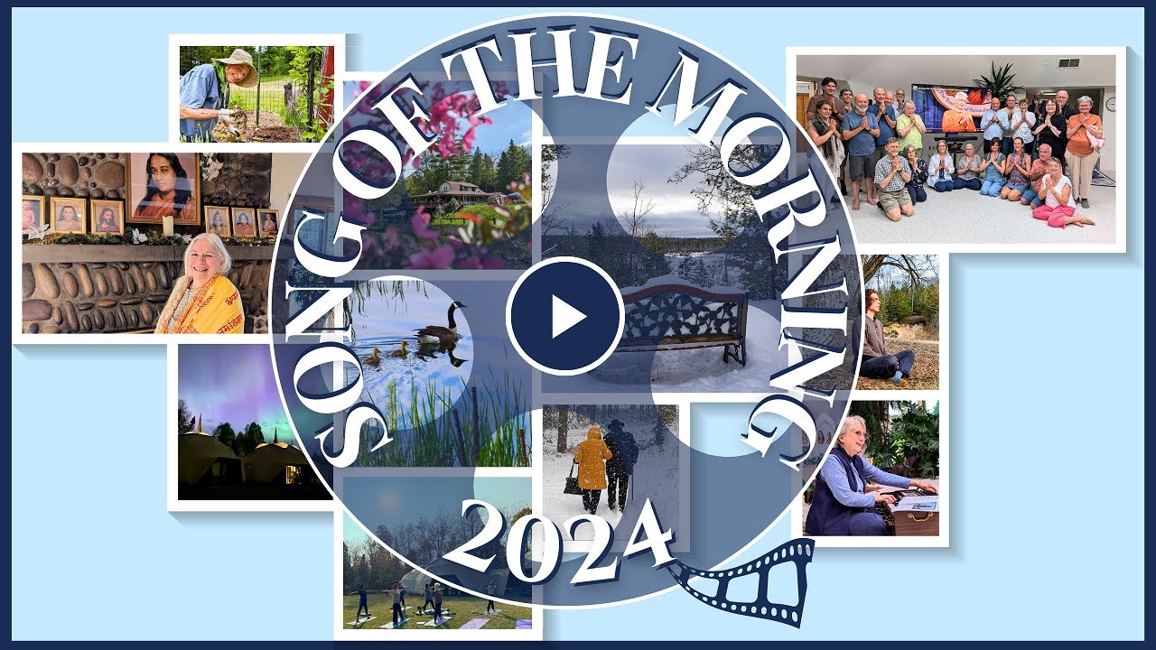 2024 SOM Highlight Reel