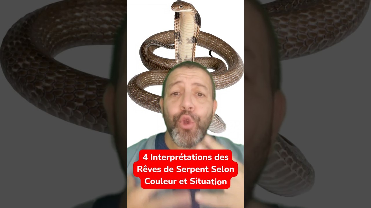4 Interprétations des Rêves des serpents selon les couleurs et les situations #cauchemars #roqya